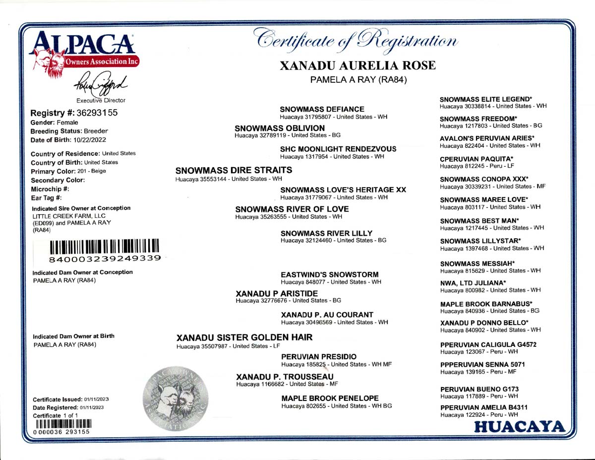 Alpacas and Alpacas For Sale at Xanadu Farm Alpacas - Alpacas For Sale!