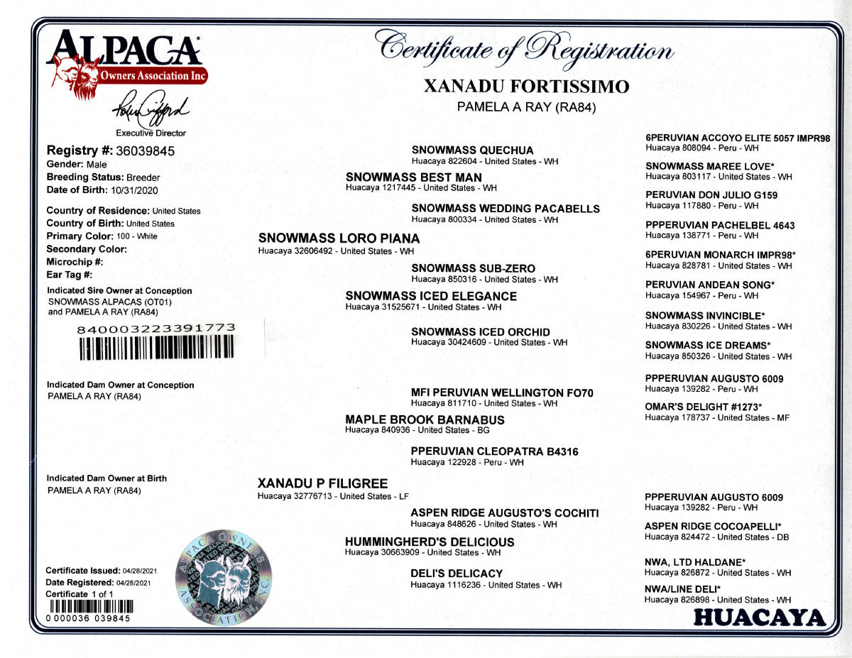 Alpacas and Alpacas For Sale at Xanadu Farm Alpacas - Alpacas For Sale!