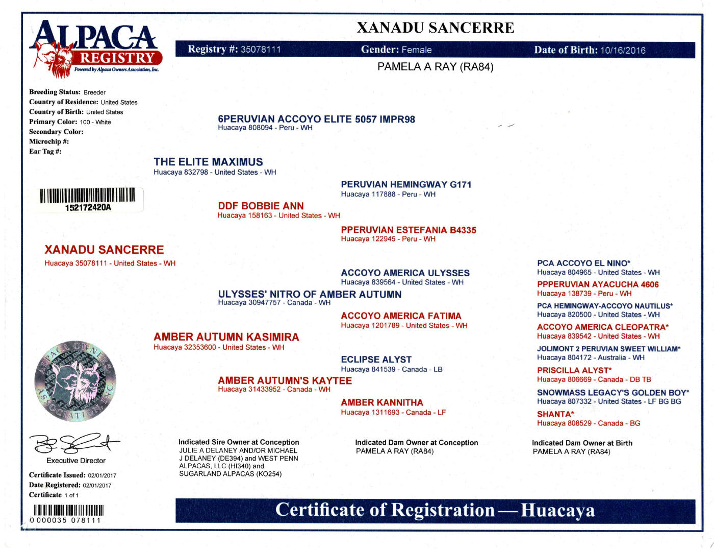 Alpacas and Alpacas For Sale at Xanadu Farm Alpacas - Alpacas For Sale!